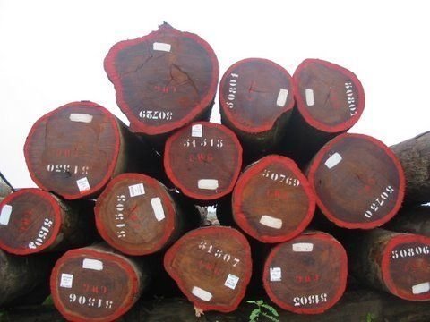 Wenge Wood Logs – Scrap Bay LTD